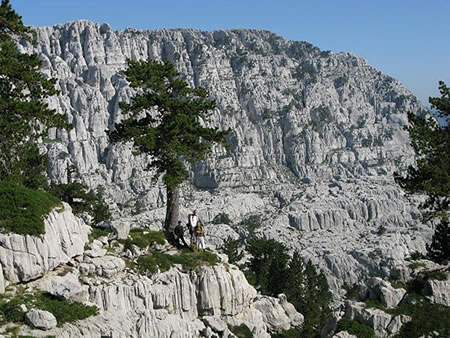 Maganik - Alchetron, The Free Social Encyclopedia